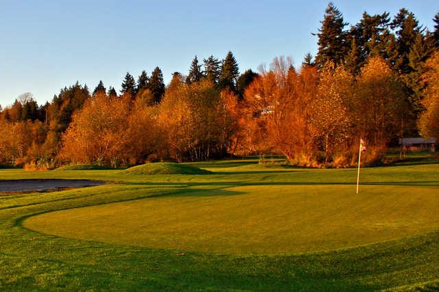 Birdies & Buckets Family Golf Centre - 9-Hole Course - Golf Course in ...