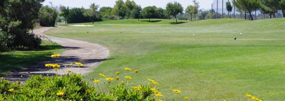 Fremont Park Golf Course - Golf Course in Fremont, California | Brio Golf