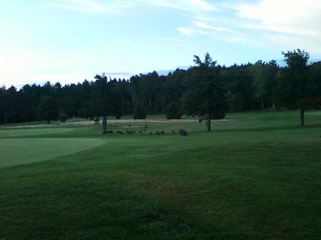 Little Harbor Golf Course - Golf Course in Wareham, Massachusetts ...