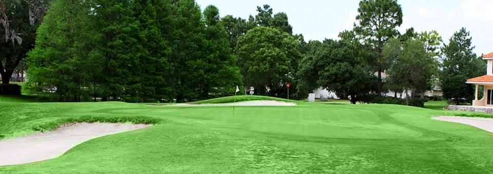 Silverthorn Country Club - Golf Course in Spring Hill, Florida | Brio Golf